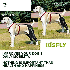 KISFLY Rear Leg Braces for Dogs Luxating Patella Joint Pain Dog Knee Brace for Torn ACL Hind Leg with Reflective Support Strip Both Legs L