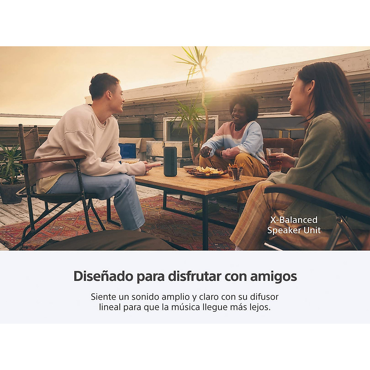 Sony XE300 Portable Waterproof and Dustproof Bluetooth Speaker - Black (Renewed)