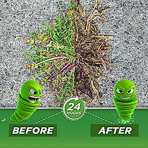 Green Gobbler 20% Vinegar Weed & Grass Killer | Natural & Organic | Concentrated | 1 Gallon Spray | Glyphosate Free Herbicide