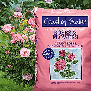 Coast of Maine Organic Natural Gardening Compost Potting Planting Soil Blend for Roses, Other Flowers, and Plants, 20 Quart Bag