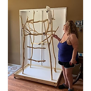 ExoticDad Large Bird Perch - Customize Your Perch Designed Natural Dragonwood Bird Perch on Wheels Stand for Parrots, Birds, Parakeets, Monkeys, Cockatiel, African Grey, Conure (2x4 ft B - 5x6 ft H)