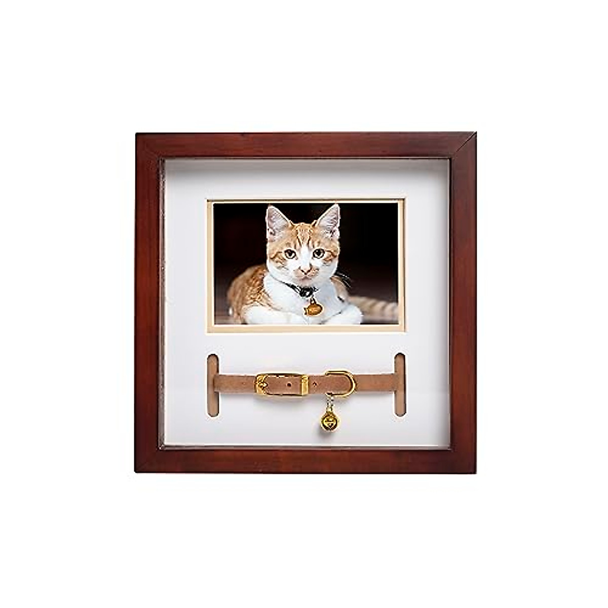 Pearhead Pet Collar Keepsake Frame, Pet Memorial Picture Frame, Pet Owner Home Decor, Cat Or Dog Keepsake, 3" x 4.5" Photo Insert, Wall Mount And Tabletop Frame, Espresso