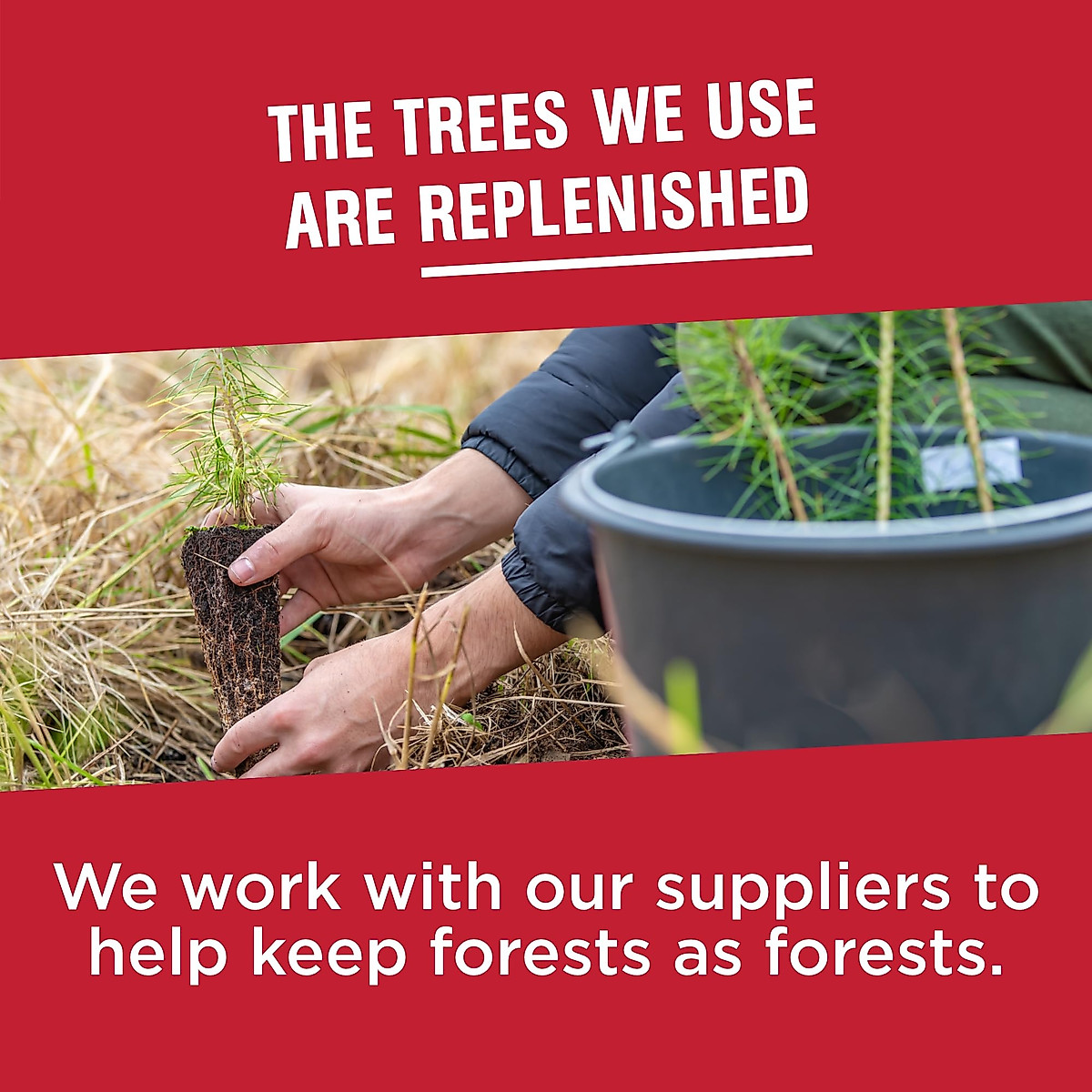 Vanity Fair Everyday Napkins, 200 Count (Pack of 1) (Packaging Design May Vary)