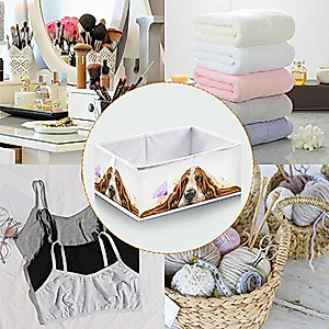 Basset Hound Storage Basket Storage Bin Rectangular Collapsible Toy Boxs Clothes Toys Bin Organizer for Home Toys Clothes Kids