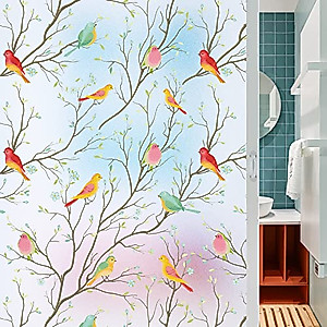 Viseeko Stained Glass Window Film: Bird Window Privacy Film Non-Adhesive Window Clings Room Decor Frosted Window Decals UV Blocker Removable for Bathroom Kids Study Room