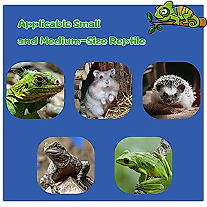 GSPNGFGI Adjustable Lizards Sling Carrier, Bearded Dragon Sling, Bearded Dragon Carrier with Harness for Lizards, Guinea Pig and Small Pets Reptile Carrier Safety Outdoor Walking