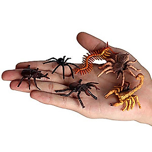 RCOMG 12 PCS Small Realistic Insects Figures Toys, Plastic Wildlife Animal Fake Bug Toys Halloween Party Favor School Project Bug Figurines Set for Kids Toddlers