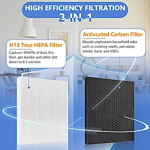 Improvedhand 116130 Filter H Replacement for Winix 5500-2 and AM80 Air Puri-fier, Include 1 Set H13 True HEPA Filter and Activated Carbon Odor Filter