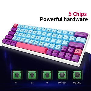 SK64 60% Mechanical Gaming Keyboard, 61 Keys Multi Color RGB Illuminated LED Backlit Wired Programmable With PBT Heat Sublimation Keycaps for PC/Mac Gamer (Joker Limited Edition, Gateron Optical Blue)