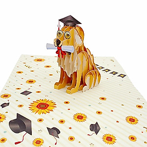 Liif 2024 Graduation Dog 3D Pop Up Graduation Card, Class of 2024, for College, High School, Son, Daughter, PHD, Master