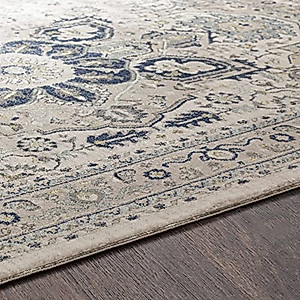 Canonsburg Traditional Persian Living Room Bedroom Area Rug - Bohemian Oriental Medallion Carpet - Blue, Grey, Beige, Brown - 7'10" x 10'2"