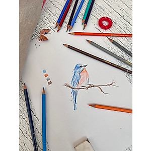 STABILO Premium Colouring Pencil - Original Metal Box of 12 assorted colours