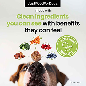 JustFoodForDogs Skin & Allergy Care Soft Chews Supplement for Dogs, Seasonal Allergies, Itchy Skin, Inflammation, Immune Support - 45 Count