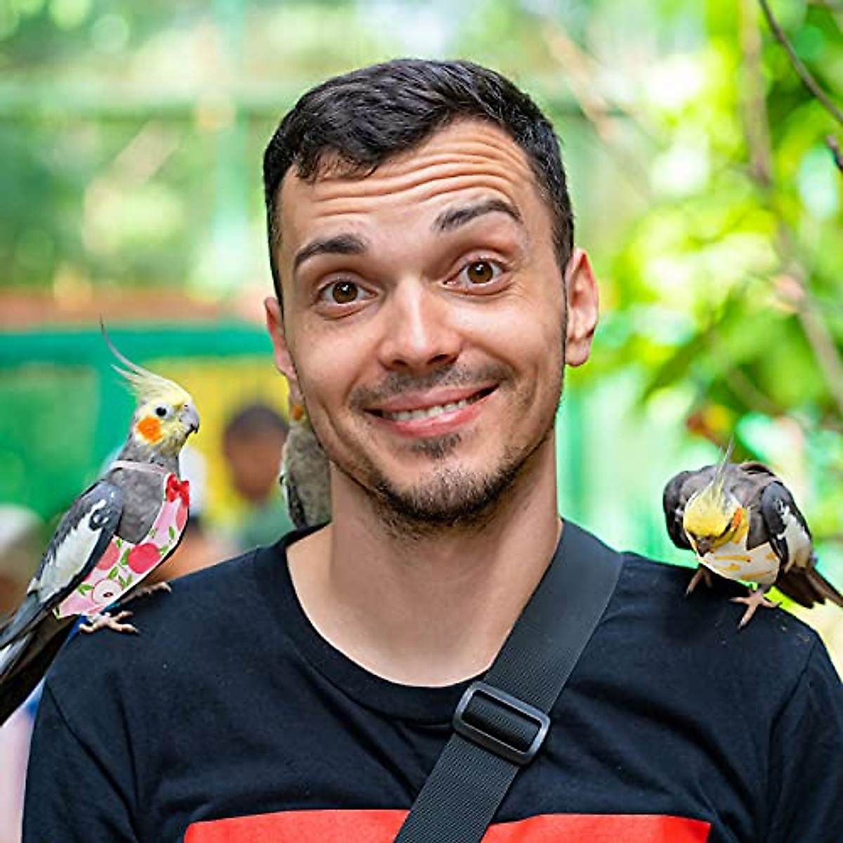 6 Pieces Bird Diaper Washable Parrot Diapers Reusable Bird Flight Suit Diaper Waterproof Inner Layer Protective Parrot Nappy Clothes for Parakeet Parrot Mini Macaw Budgie Canary, Fruit Style (Medium)