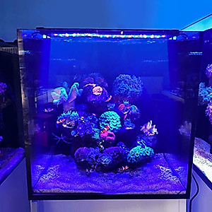 lucare 12-18 inches 18W Saltwater Aquarium Light with Full Spectrum LED, Exclusive Reef Coral Light Spectrum for 10-30 Gallon Marine Nano Fish Tank，Dimmable Dual Channel for Saltwater LPS & SPS
