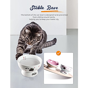 AISBUGUR Ceramic Cat Bowls Set of 2, Elevated 15 Tilted Design for Indoor Cats, Large Capacity, Easy to Clean, Non-Slip Base, Cute Pattern,Pink