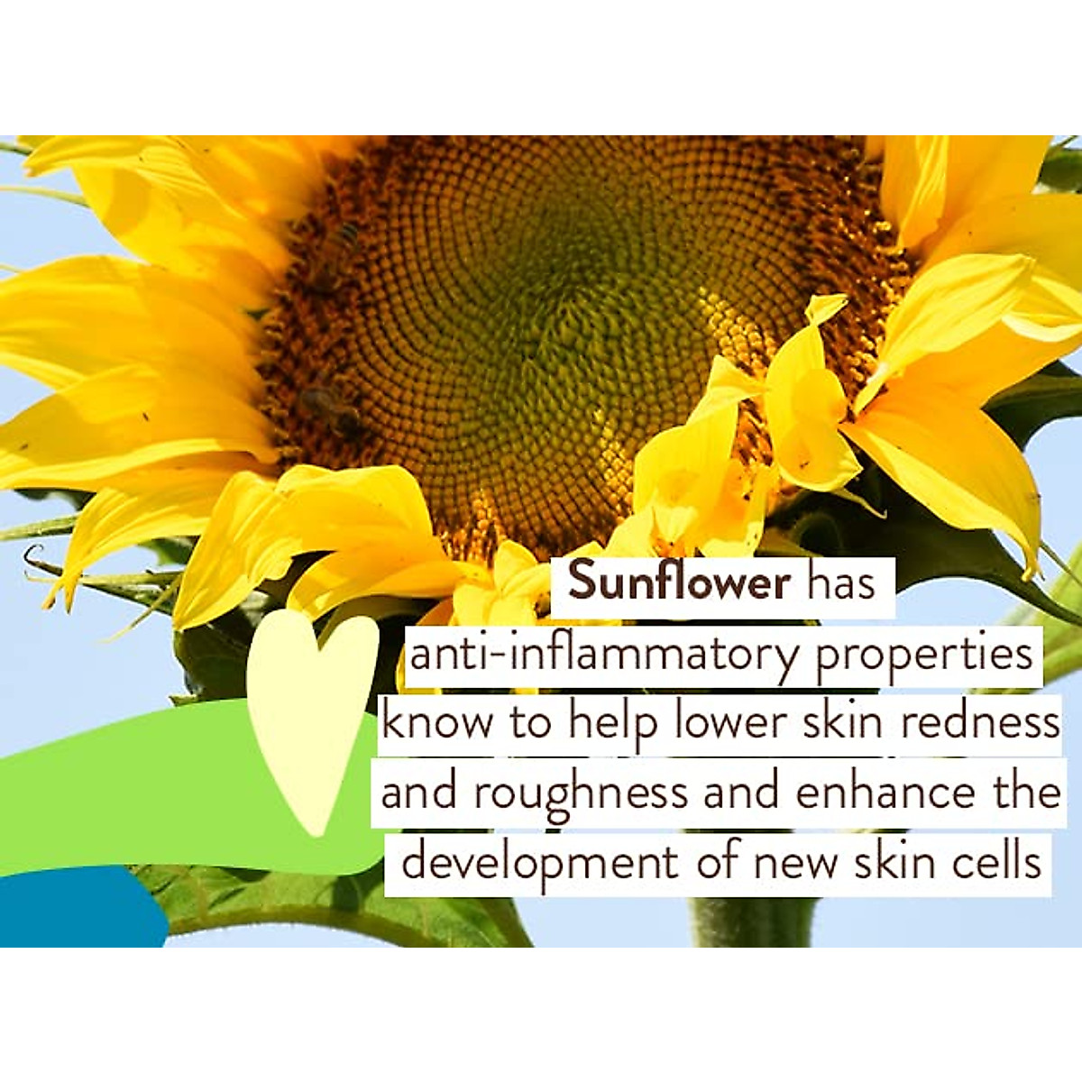 Babo Botanicals Sheer Mineral Sunscreen Lotion SPF 50 with 100% Mineral Active Ingredients - for Babies, Kids or Extra Sensitive Skin - Lightweight, Water Resistant & Fragrance Free - 3 fl. oz.