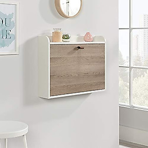 Sauder Anda Norr Wall Desk, White Finish