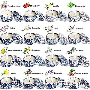 JHENG Set of 16 Small Scented Candles Soy Wax Aromatherapy Candles 2.5 OZ Portable Tin Candles with Lid, Relaxation Gifts Basket for Mother, Women, Friends and Coworkers