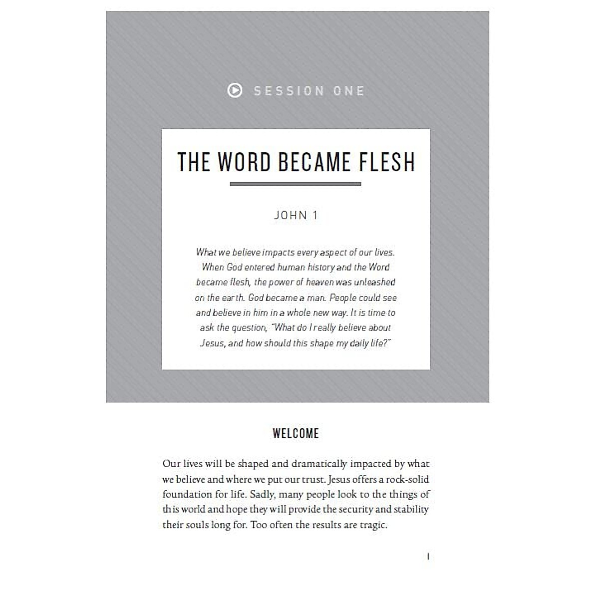 John Study Guide with DVD: Life in His Name (40 Days Through the Book)