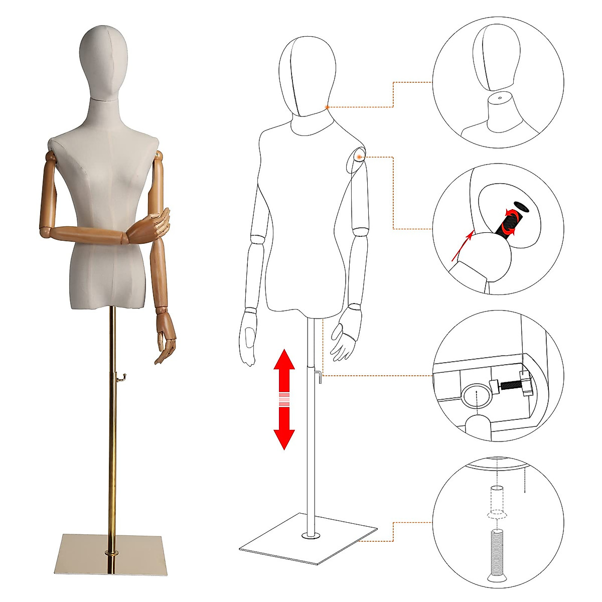 Bonnlo Dress Form with Head and Posable Wood Arms, Height Adjustable Mannequin Torse Body, Female Clothing Display Model with Metal Base