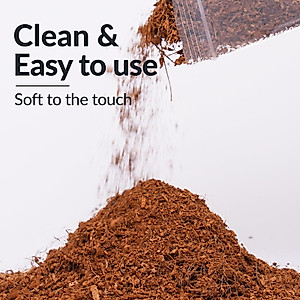 JONSΛNTY 3L Natural Coconut Coir Bedding, Small Animal Bedding for Hamster, Reptile, Tortoise, Frogs, Snakes, Hermit Crabs, Burrowing Animals, Clean, Cozy, Odor Control, Absorbent, for Cage, Terrarium