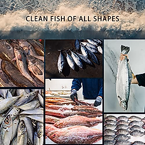 Powerful Electric Fish Scaler ，Cordless Fish Scaler Remover Easily Remove fishscales without Fuss Or Mess for Chef and Home Cooks Fish Cleaning tools