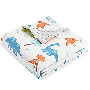HOMRITAR Baby Blanket for Kids Super Soft Minky Blanket with Dotted Backing, Toddler Blanket with Dinosaurs Multicolor Printed 30 x 40 inch(75x100cm)