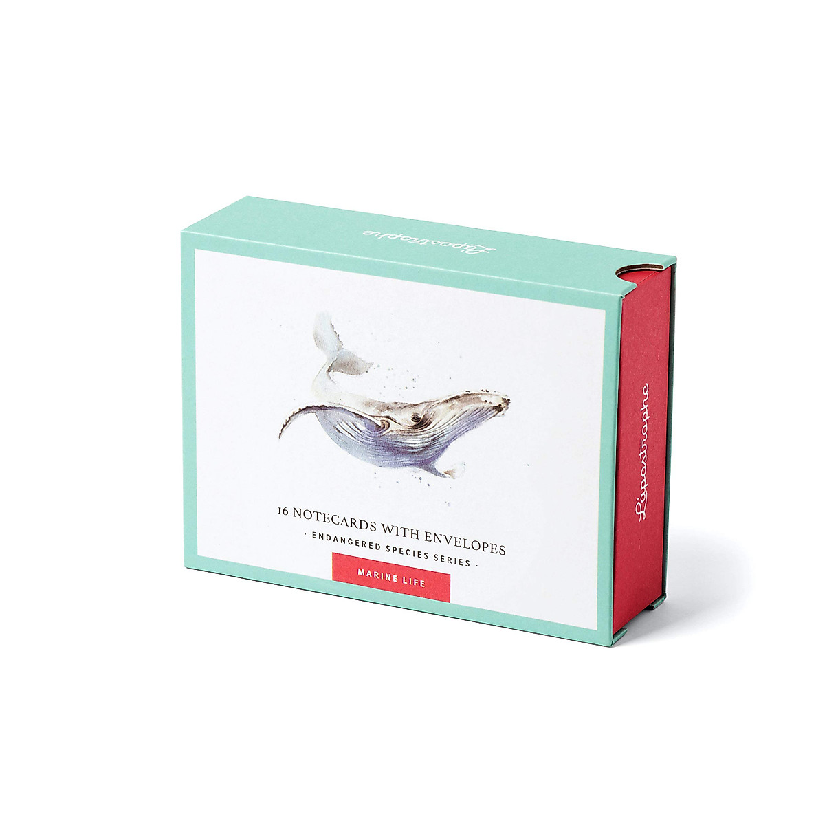 L'apostrophe Marine Life - Blank Note Cards with Envelopes - Blue Whale - Turtle - Narwhal - Penguin - Assorted Set of 16 Animal Greeting Cards for All Occasions - 4.75" x 3.5"