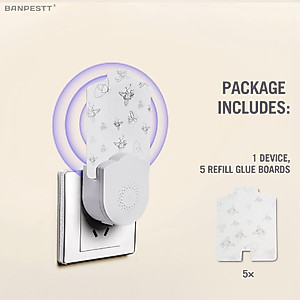 BANPESTT Indoor Flying Insect Trap, Gnat Trap, Mosquito Trap, Moth Trap, Fruit Fly Traps for Indoors(1 Plug-in Base + 5 Refill Glue Boards)