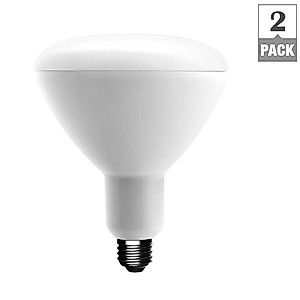 EcoSmart 75-Watt Equivalent BR40 Dimmable Energy Star LED Light Bulb Soft White (2-Pack)