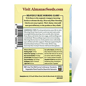 The Old Farmer's Almanac Morning Glory Seeds (Heavenly Blue) - Approx 50 Flower Seeds - Premium Non-GMO, Open Pollinated, USA Origin