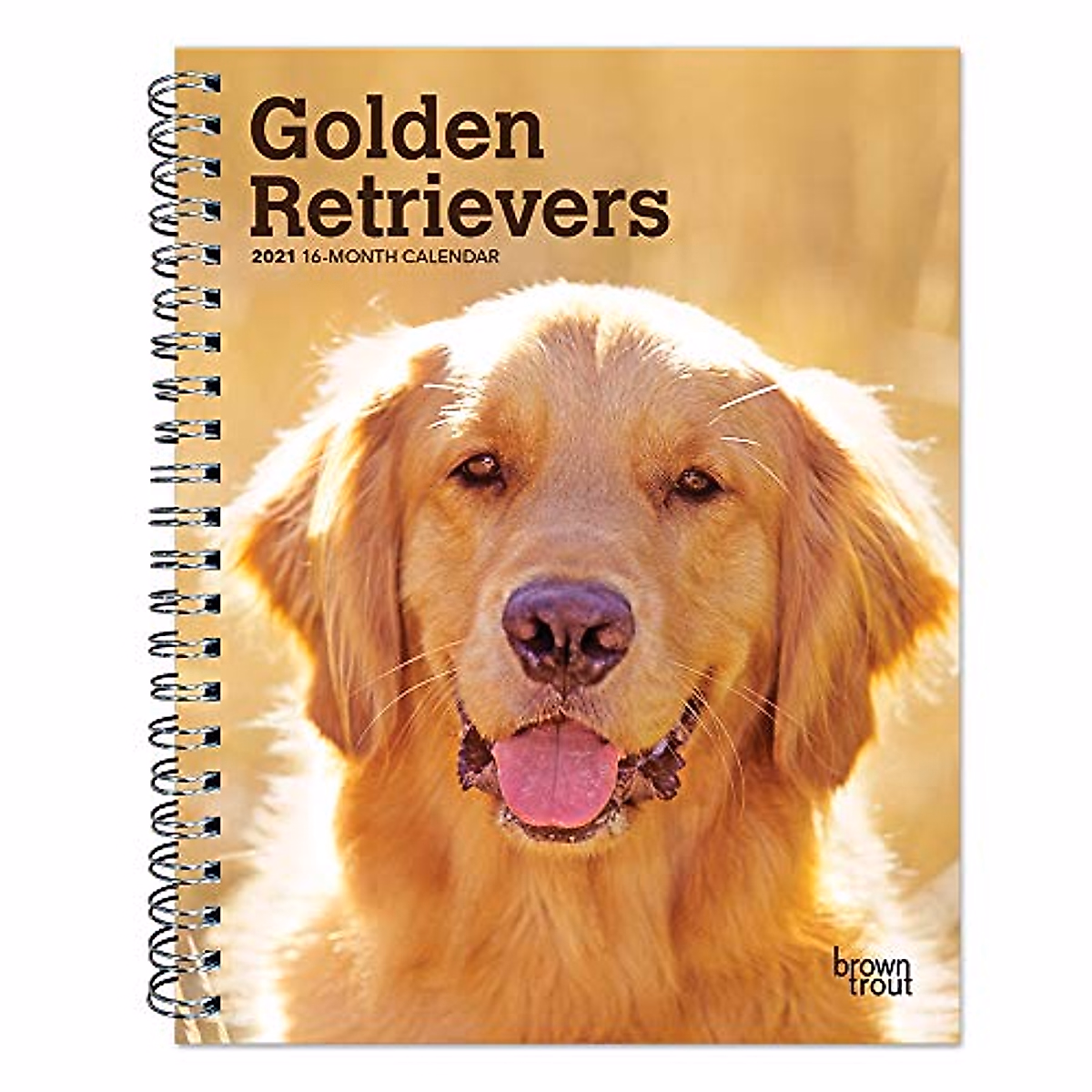 Golden Retrievers 2021 Calendar