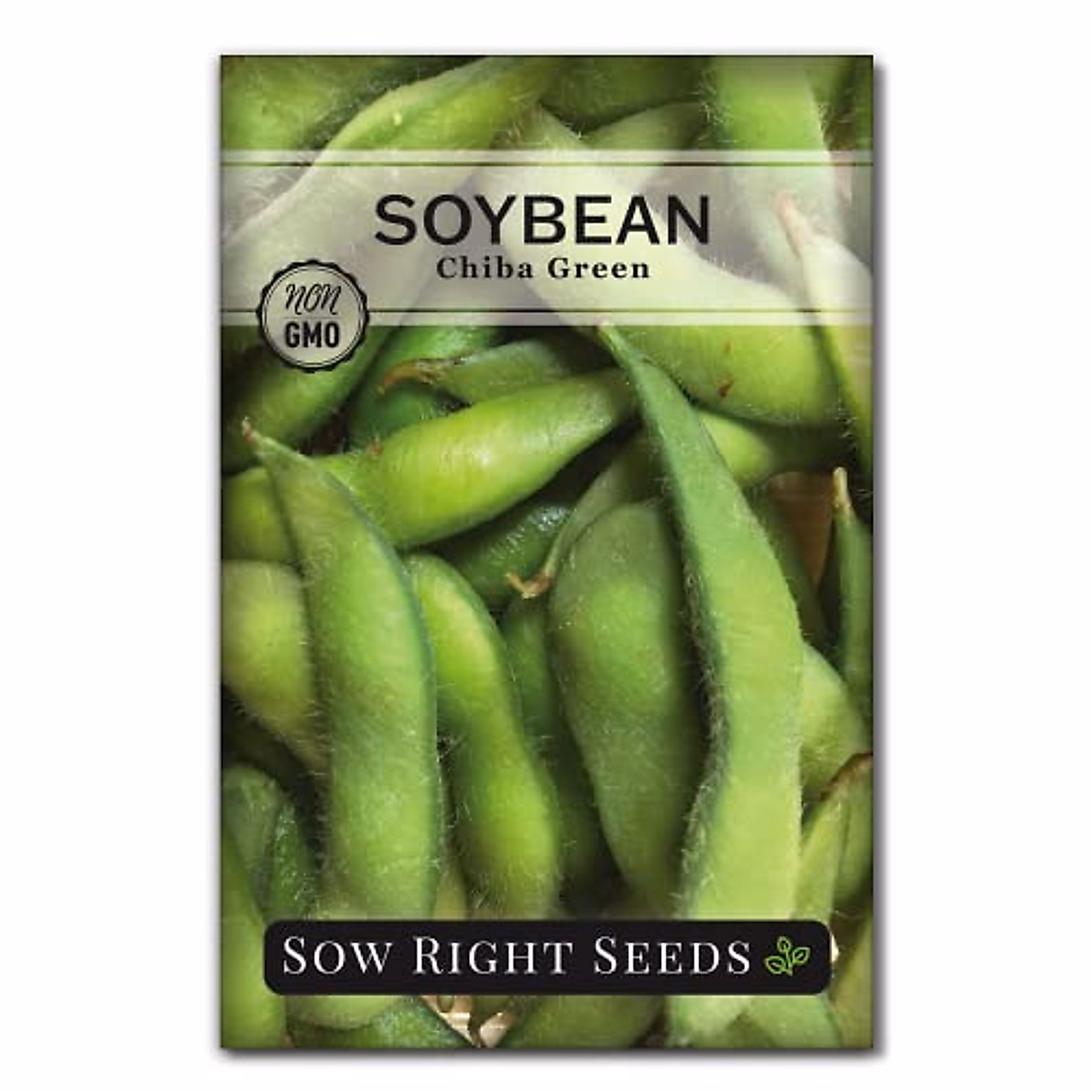 Sow Right Seeds - Chiba Green Soybean Seed for Planting - Non-GMO Heirloom Packet with Instructions to Plant a Home Vegetable Garden - Old Fashioned Bush Soybean Variety - Wonderful Gardening Gift