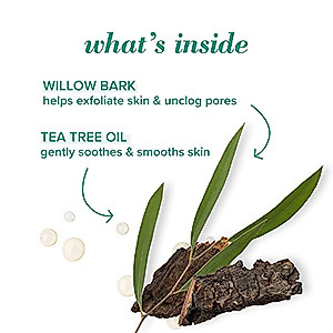 Burt's Bees Herbal Complexion Stick, 0.26 Fl Oz (Pack of 2)