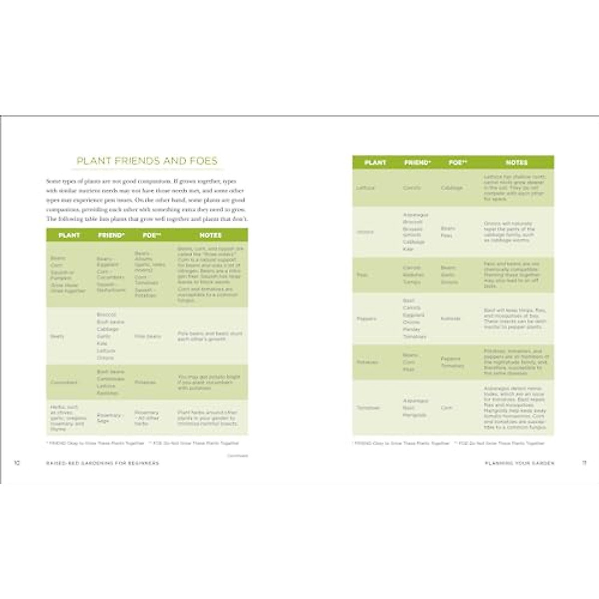 Raised-Bed Gardening for Beginners: Everything You Need to Know to Start and Sustain a Thriving Garden