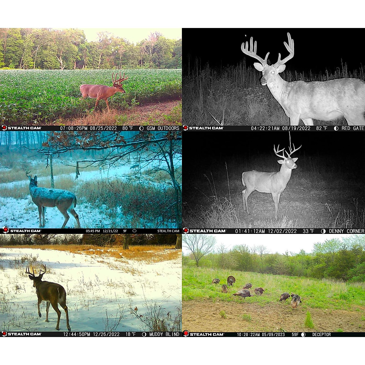 Stealth Cam Deceptor NO GLO 80ft Detection & IR Range 40MP Photo 1440P HD Video Capture Remote App Contol Wireless Hunting Cellular Trail Camera - Available on AT&T & Verizon