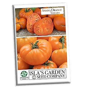 Amana Orange Beefsteak Heirloom Tomato Seeds for Planting, 50+ Heirloom Seeds Per Packet, Non GMO Seeds, (Isla's Garden Seeds), Botanical Name: Lycopersicon esculentum, Great Home Garden Gift