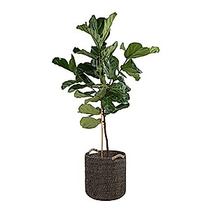 Kouboo Laguna Round Ear Handles, Black-Wash Rattan Storage Basket