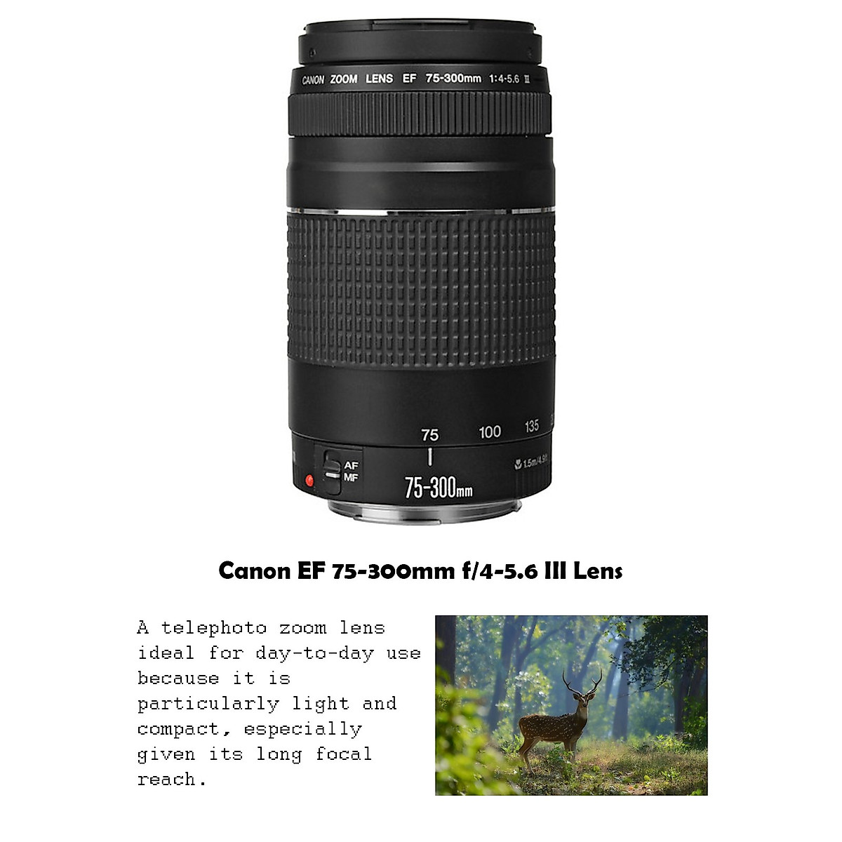 Canon EOS Rebel T7 DSLR Camera + Canon EF-S 18-55mm + Canon 75-300mm & 500mm Telephoto Lens + Wide Angle & Telephoto Lens + Macro Filter Kit + 64GB Memory + Accessory Kit