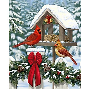 for Sewing, Embroidery and Quilting 100% 44/45` Wide 35" c Panel | Digital Christmas Feast Birdhouse CardinalQ