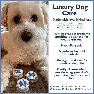 The Canine Project Best BARKIN' Wipes with Free Mesh Bag - Dog Wipes for Paws Ears and Butt - Micellar Aloe Scented Travel Friendly Puppy Wipes (12-Pack)