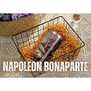 Onebttl History Teacher Christmas Gifts for Men, Napoleon Bonaparte Gifts for French History Lover, 20oz Stainless Steel Insulated Tumbler with Straw, Lid