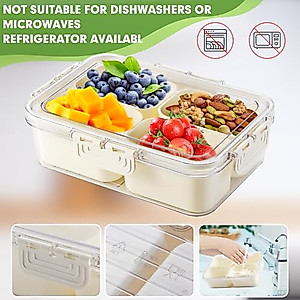 Divided Serving Tray with Lid and Handle, Snackle Box Container mit 4 Compartments Clear Serving Platters and Trays,Snack Platters for Veggie Fruits Snacks Nuts, for Picnic Party Travel