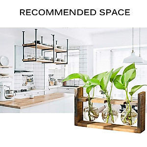 Kingbuy Plant Propagation Station Glass Terrarium Planter Flower Vase with Retro Solid Wooden Stand for Home Kitchen Indoor Garden Wedding Desktop Decor, 3 Bulb Vase