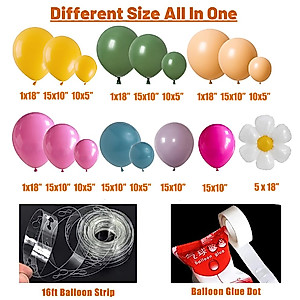 Beaumode Wildflower Floral Balloon Arch Garland kit 164pcs for Girls First Birthday Wild One Little Wildflower Shower Baby in Bloom Summer Graden Bridal Shower Party Decoration (Wildflower)