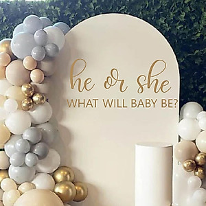 QIANGDAGSI He Or She What Will Baby Be Balloon Arch Decoration - Gender Reveal Girl Or Boy Baby Shower Decal Sign,Baby Gender Reveal Welcome Sign,Welcome Baby Shower Sign Decal (He Or She Decal)