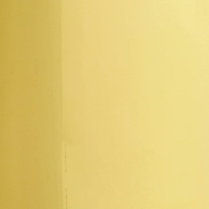 Kraftware Polished Brass Designer 14” Oval Wastebasket for Home & Office (76074)