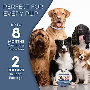 Flea and Tick Collar for Dogs and Cats- Long-Lasting 8-Month Protection Using Natural Plant-Based Oils - Safe for Pets, People and The Environment - 2-Pack Flea Collar for Dogs and Cats