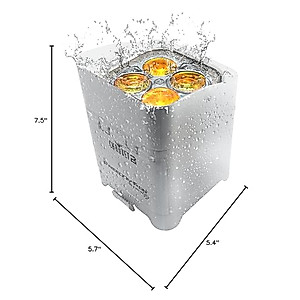 CHAUVET DJ Freedom Par Quad-4 IP Indoor/Outdoor Battery-Powered Wireless LED Par-Style Wash Light